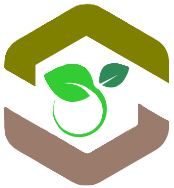 فرٹیفائی کنسلٹنٹس